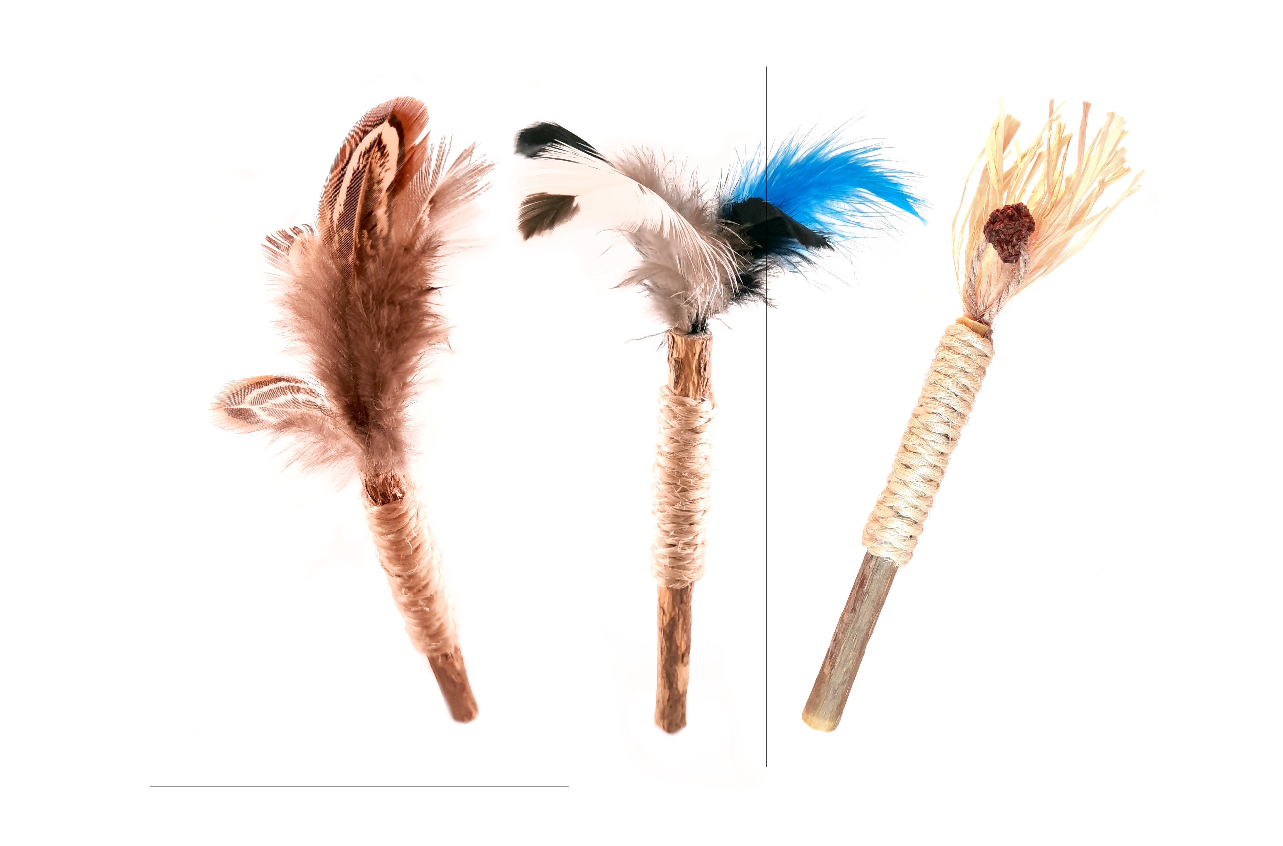 Crazystick – Crazycat Family